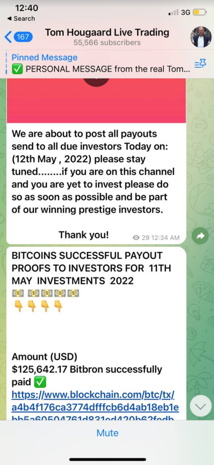 Telegram - Trader Tom